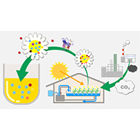 Kao | Kao Builds a Plant Factory “Smart Garden Meguri” Using Captured ...